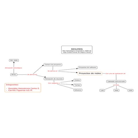 Resumen Mapa Conceptual Petic | PDF
