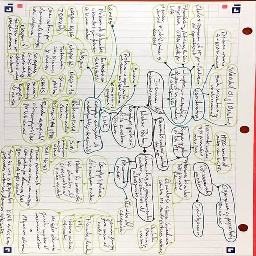 Resumen 10 - Nuclear positioning.pdf