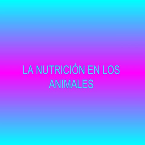Tema1. La AlimentacióN En Los Animales | PPS