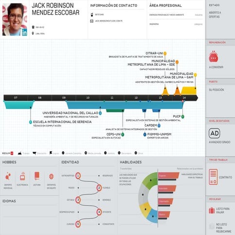 Visual biography | PDF