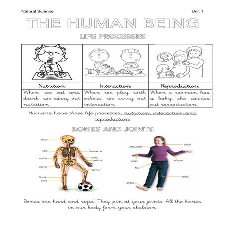 Resumen unit 1 the human being natural science | PDF