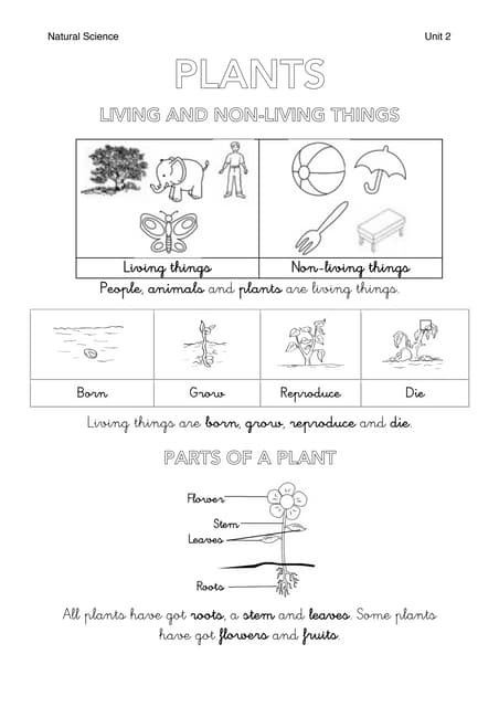 Resumen unit 6 plants natural science | PDF