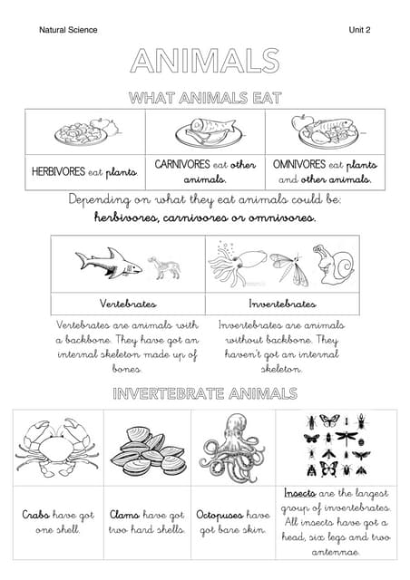 The natural world | PPT