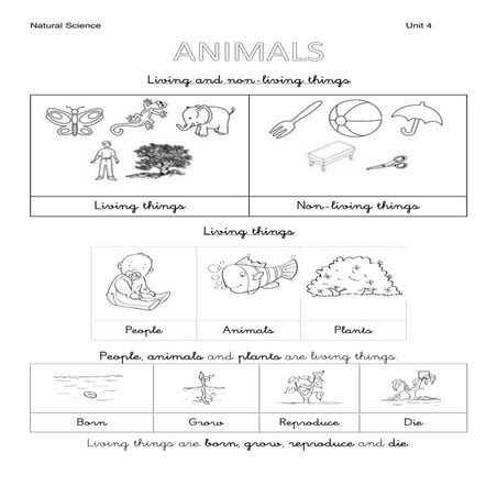 Resumen unit 4 animals natural science | PDF