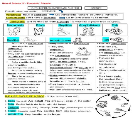 Resumen unit 5 | DOCX