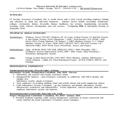 Resume IT Security Consultant | DOCX