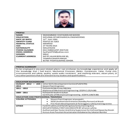 Salma Hashim CV