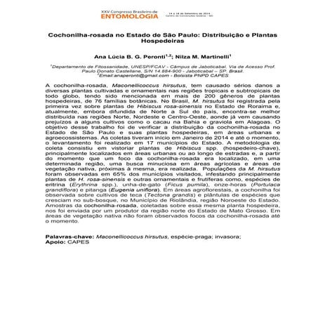 Rev. bras. entomol normas | PDF