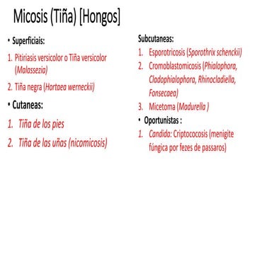 Resumo final | PPTX