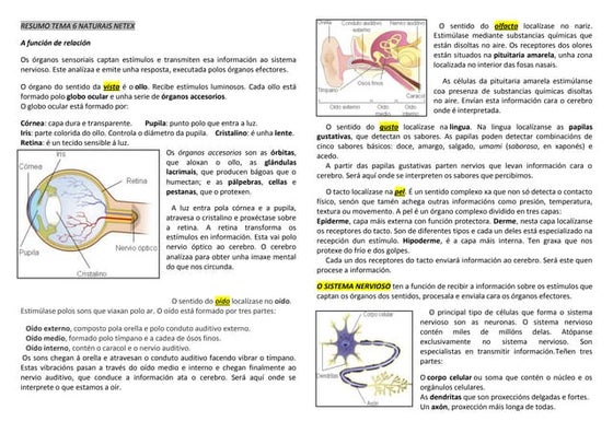 Naturais resumo tema_8_quinto | PDF