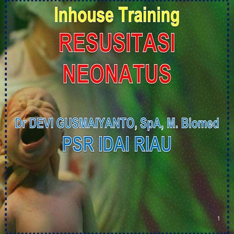Resusitasi Neonatus Indonesia Versi IDAI 2022 | PPTX