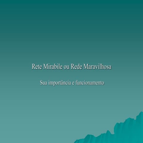 Rete mirabile ou rede maravilhosa | PPT