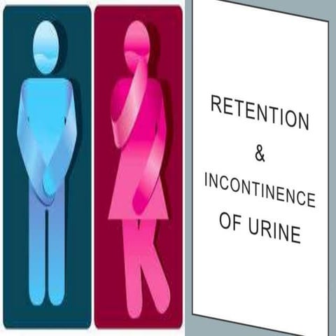 Urinary retention and incontinence | PPTX