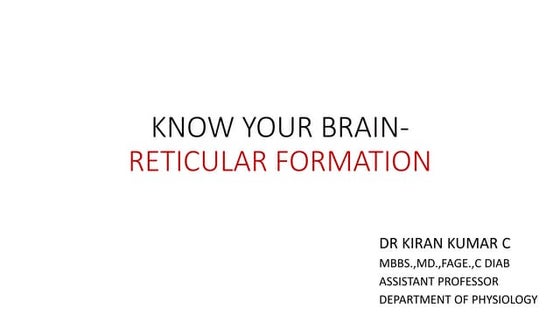 Medulla, Reticular Formation, Thalamus, and Hippocampus | PPT