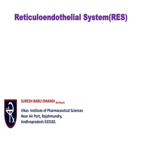 Red blood cell formation and fate of RBC | PDF