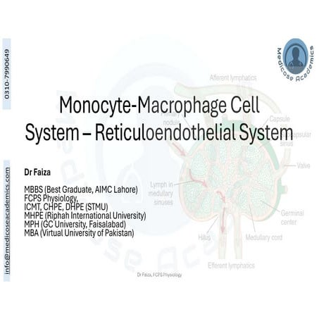 Motility of large intestine_Mass movement and defecation | PDF