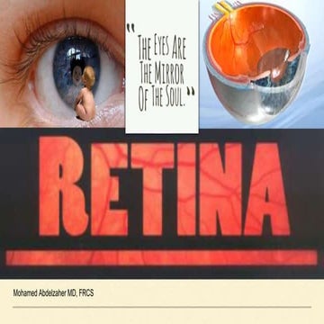 Retina for undergraduate students | PPTX