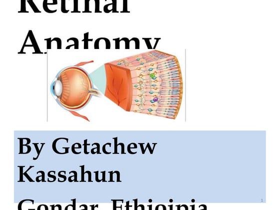 anatomy of the eyeball | PPT
