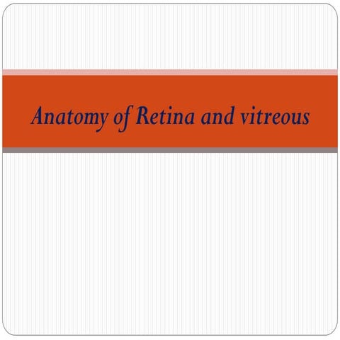 Anatomy of retina | PPTX