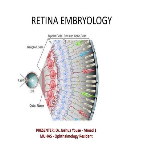Retina embryology ppt | PPTX