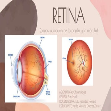ESTRUCTURA MACROSCOPICA DE LA RETINA.pptx