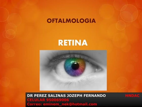 Anatomía basica de la retina | PPT