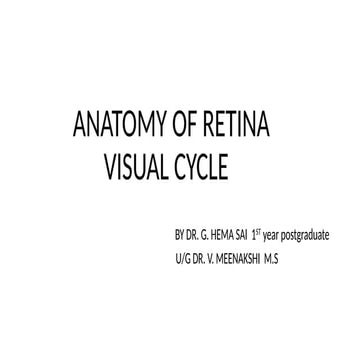 Anatomy of retina | PPTX