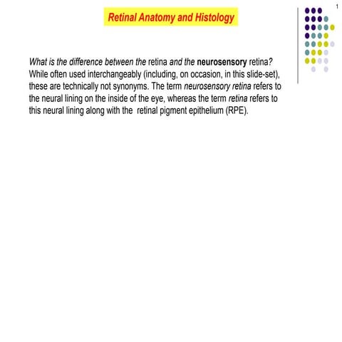 Retinal Anatomy and Histology and Also description about physiology | PPT