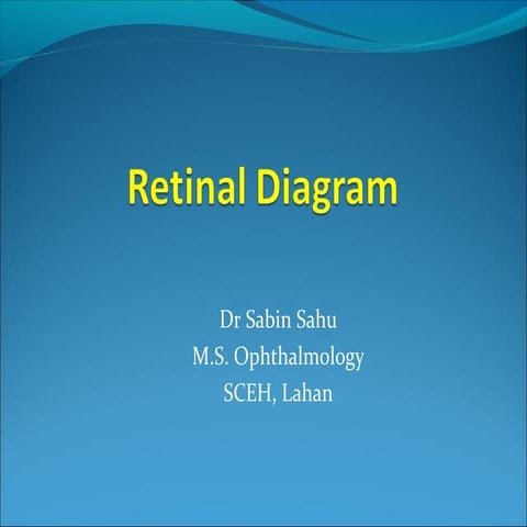 Retinal diagram dr sabin sahu | PPT