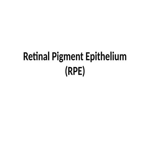 Retinal Pigment Epithelium (RPE).pptx retinal | PPTX