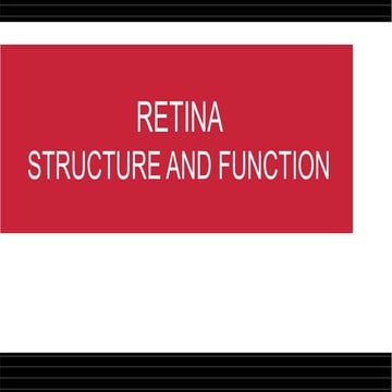Retina structure and function | PPTX