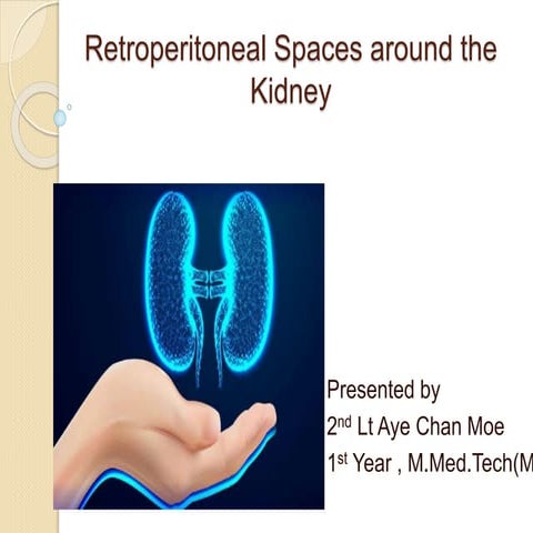 Retroperitoneal Space of the Kidney.pptx | Endocrine and Metabolic ...