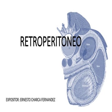 ORGANOS, DIVISION Y LIMITES DEL RETROPERITONEO.pptx
