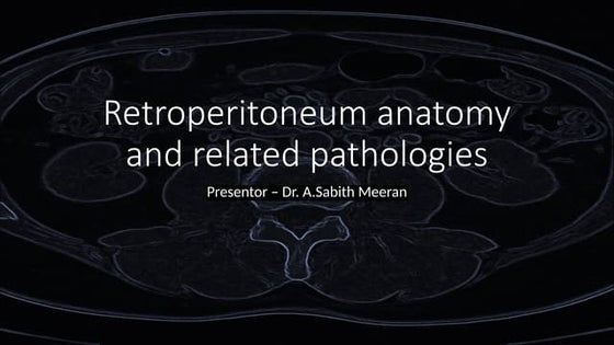 Boundaries of flank and paralumbar fossa | PPTX