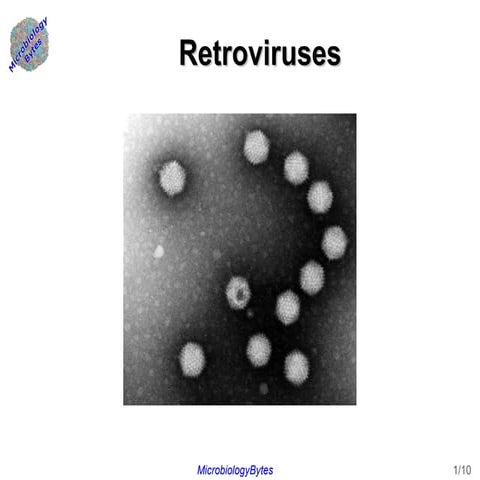 Virus and its classification