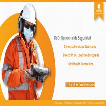 Reunión 08-10-2024 DLI CODELCO 2025 DLIN | PPTX