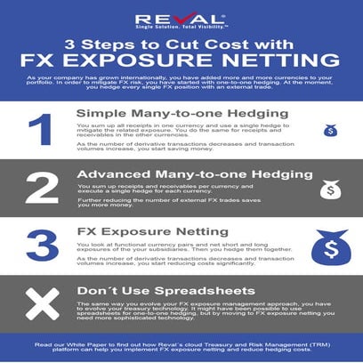 3 Steps to Cut Cost with FX Exposure Netting | PDF | Stocks and Bonds | Personal Investing
