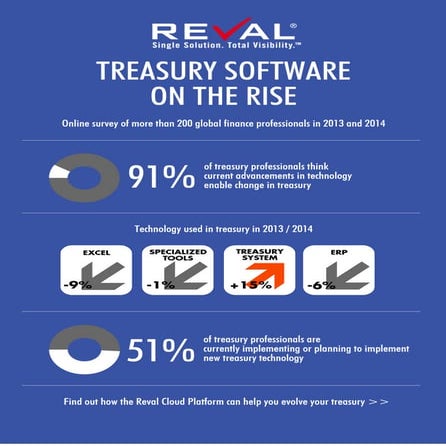 Corporate Treasury Software on the Rise | PDF