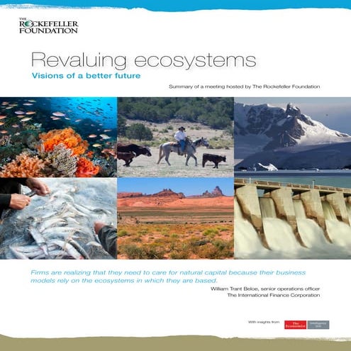 Revaluing Ecosystems: Visions of a better future | PDF