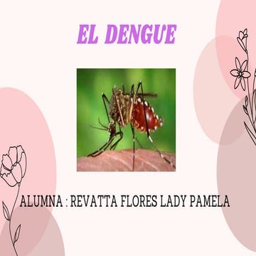 Infografía del dengue.pptx