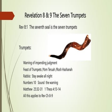 Revchapterbychapter.pptx