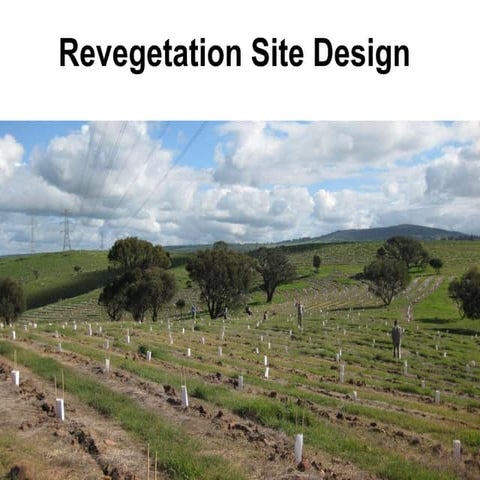 Revegetation Site Design | PPT