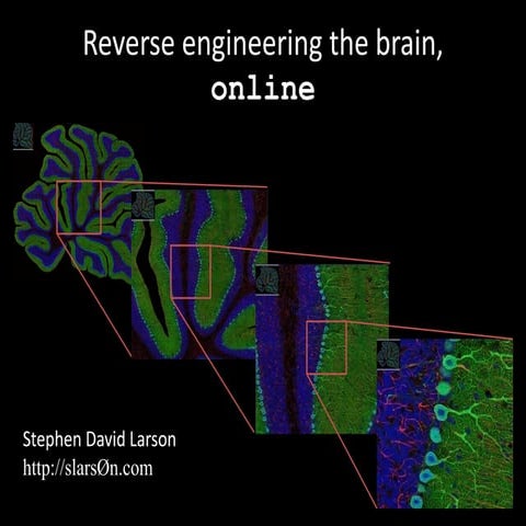 Reverse Engineering The Brain, Online | PDF