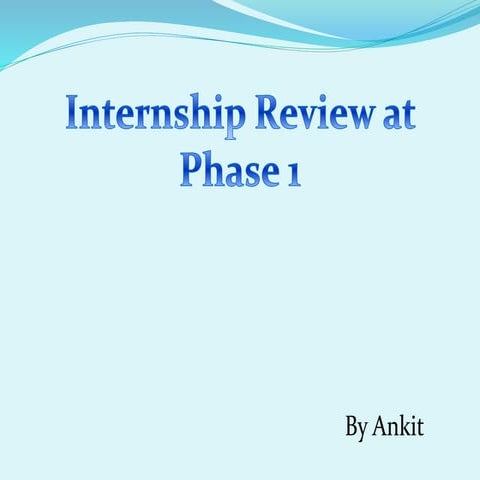 Final Internship Review | PPT