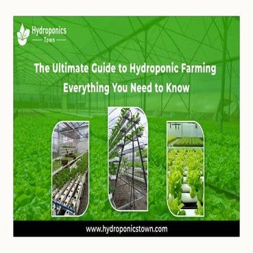 The Complete Guide to Hydroponic Farming: All the Information You Need ...
