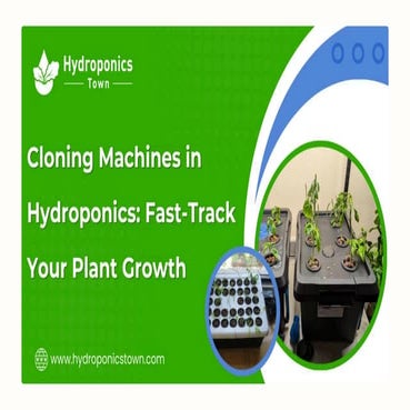 Hydroponic Cloning Machines: Fast-Track Plant Growth | PDF