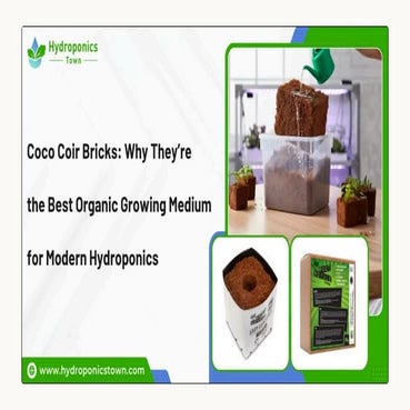 Coco Coir Bricks: Your Ideal Organic Solution for Advanced Hydroponic ...