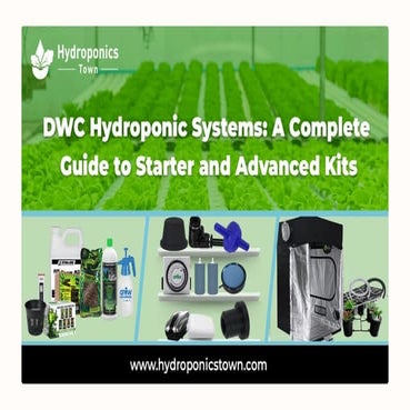 A Complete Guide to Starter and Advanced Kits for DWC Hydroponic ...