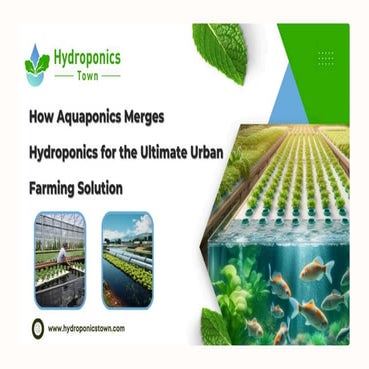 How Hydroponics and Aquaponics Combine to Provide the Best Urban ...