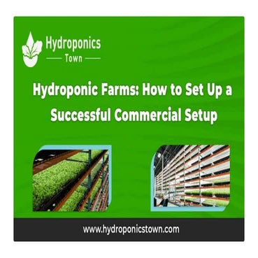 How to Set Up a Profitable Commercial Hydroponic Farm | PDF